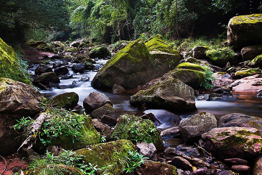 Amboro National Park Tours [Top Rated Tour Guide]