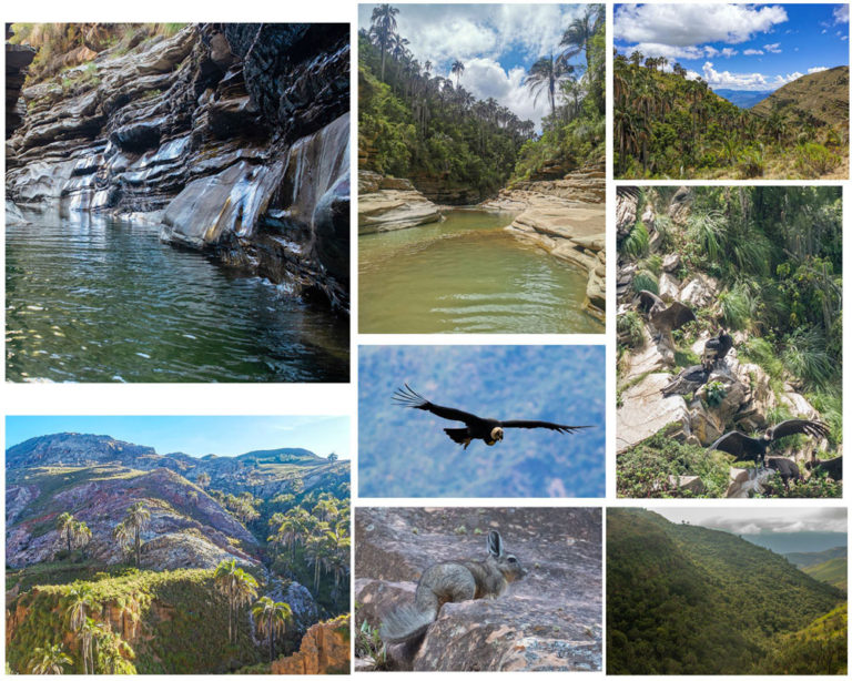 EL PALMAR NATURAL AREA SUCRE BOLIVIA – Tours in Bolivia